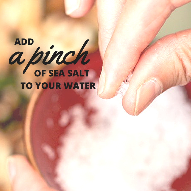 Hydration Basics | Cait Crowell