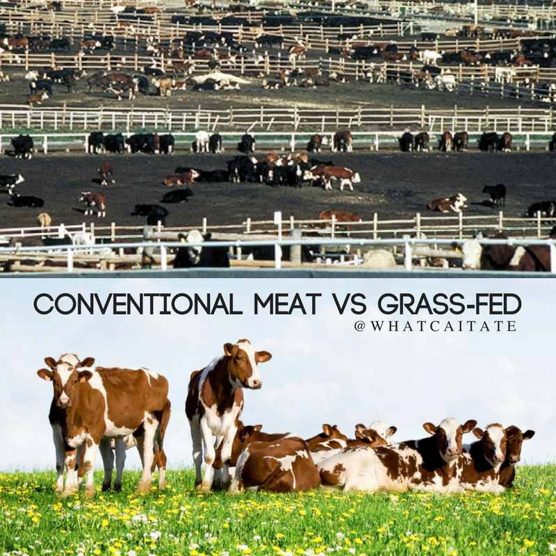 Is All Meat Created Equal? | Cait Crowell